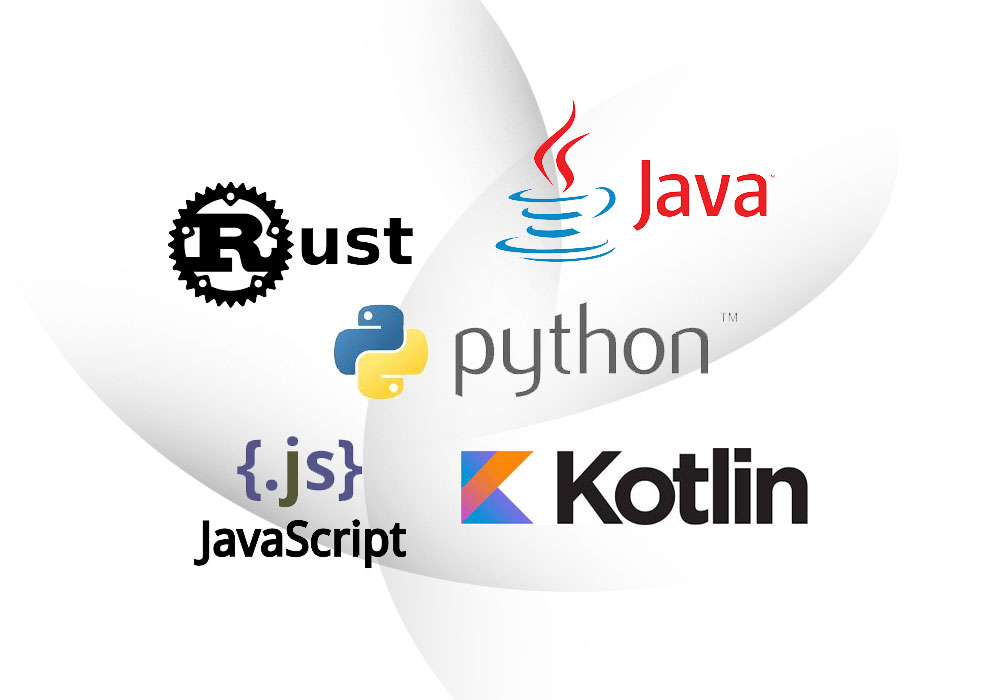 Siapa Rajanya?! Bahasa Pemrograman Terbaik di 2024